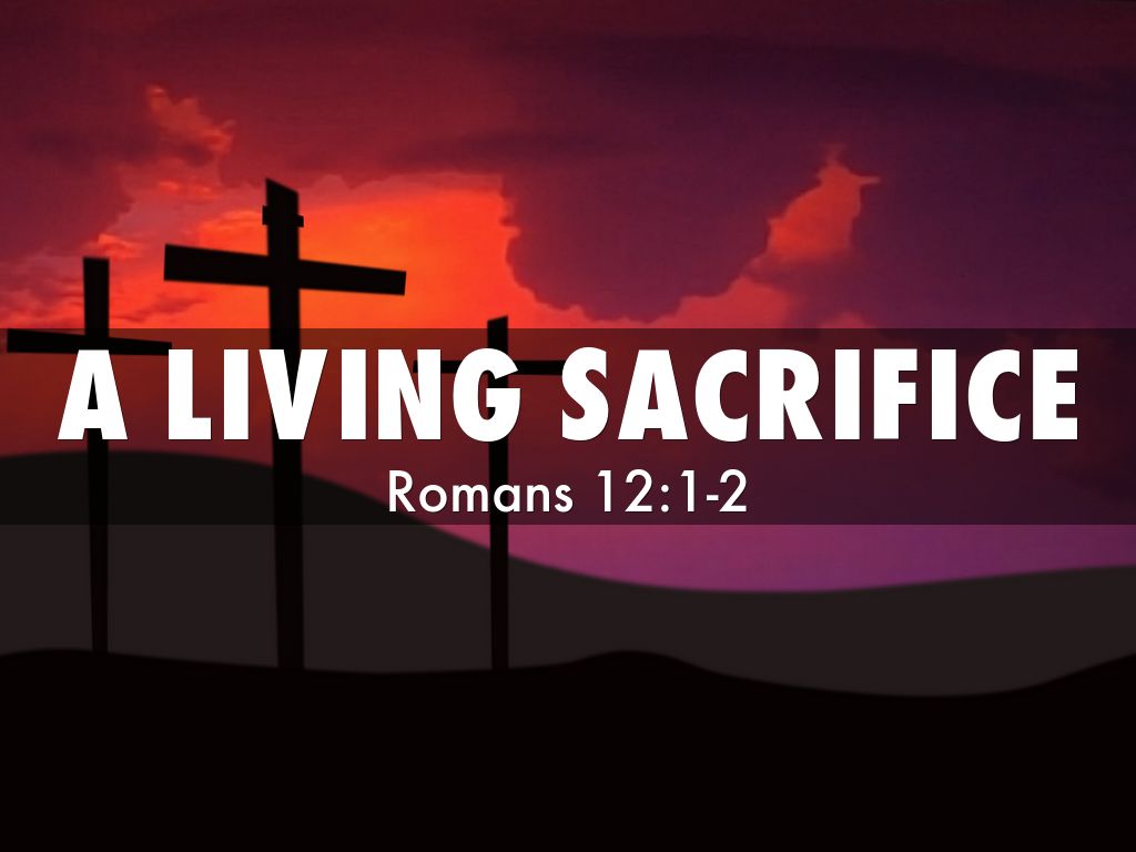 A Living Sacrifice | Official Website of Kow Essuman